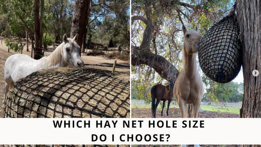 Which hay net hole size do I choose? – GutzBusta® Slow Feed Hay Nets