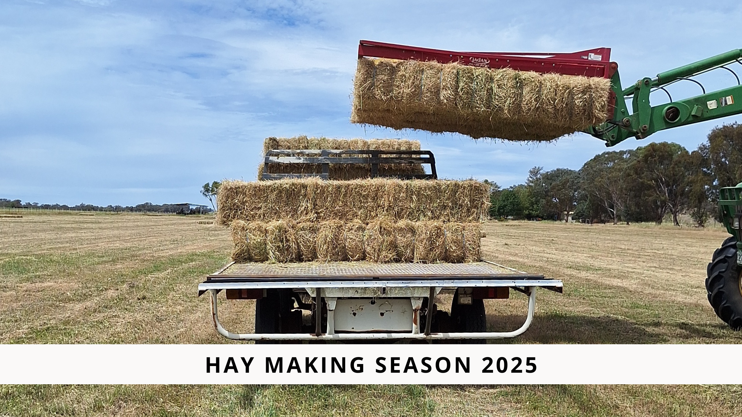 Hay Making Season 2025 – GutzBusta® Slow Feed Hay Nets