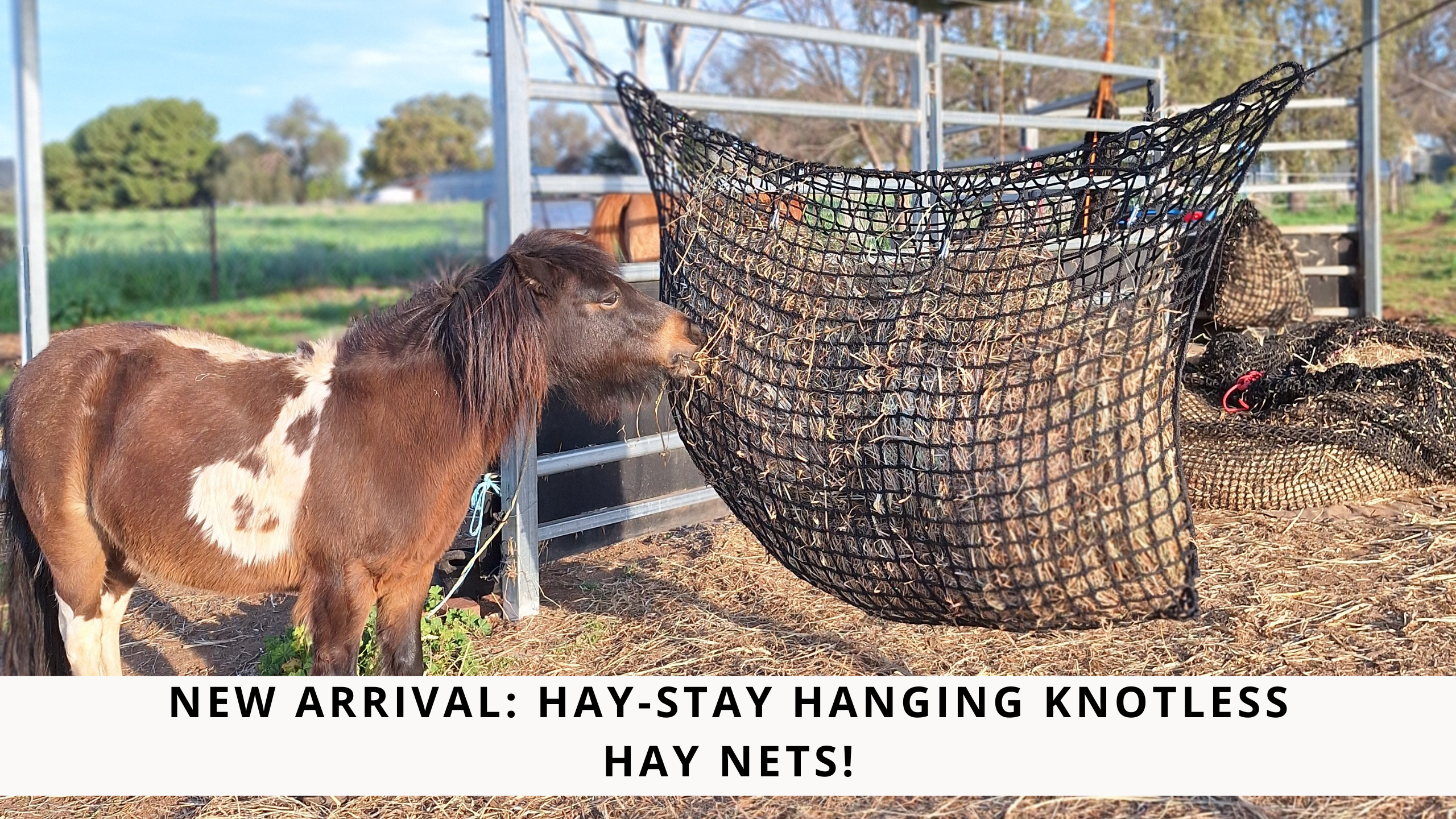 New Arrival: Hay-Stay Hanging Knotless Hay Nets! – GutzBusta® Slow Feed ...