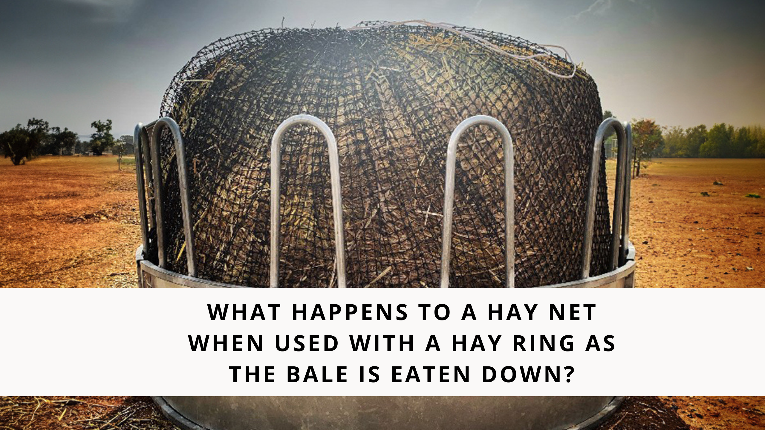 What happens to a hay net when used with a hay ring as the bale is eat ...