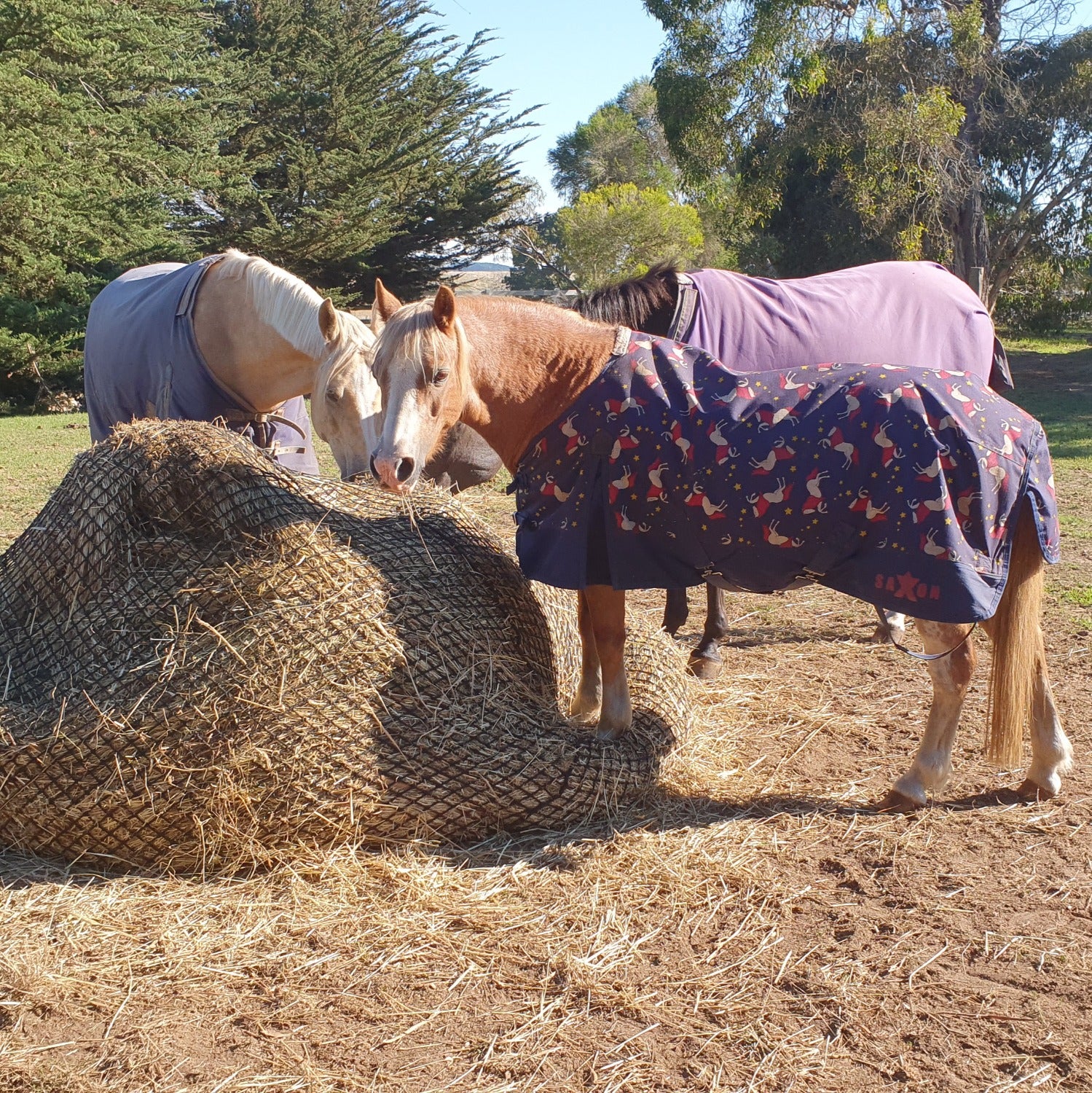 Slow Feed Round / Large Bale Nets – GutzBusta® Slow Feed Hay Nets