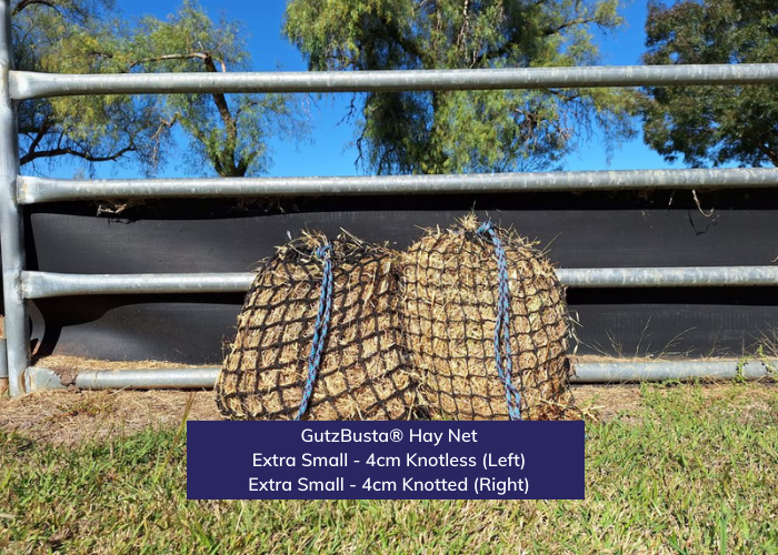 Knotless Hay Nets - Extra Small – GutzBusta® Slow Feed Hay Nets