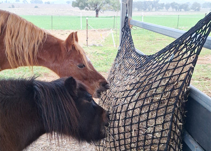 Hay-Stay Hanging Knotless Hay Net – GutzBusta® Slow Feed Hay Nets
