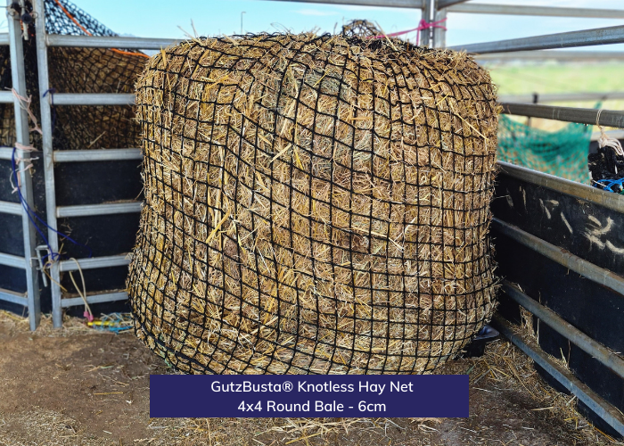 Knotless Hay Nets - 4'x4' Round Bale – GutzBusta® Slow Feed Hay Nets
