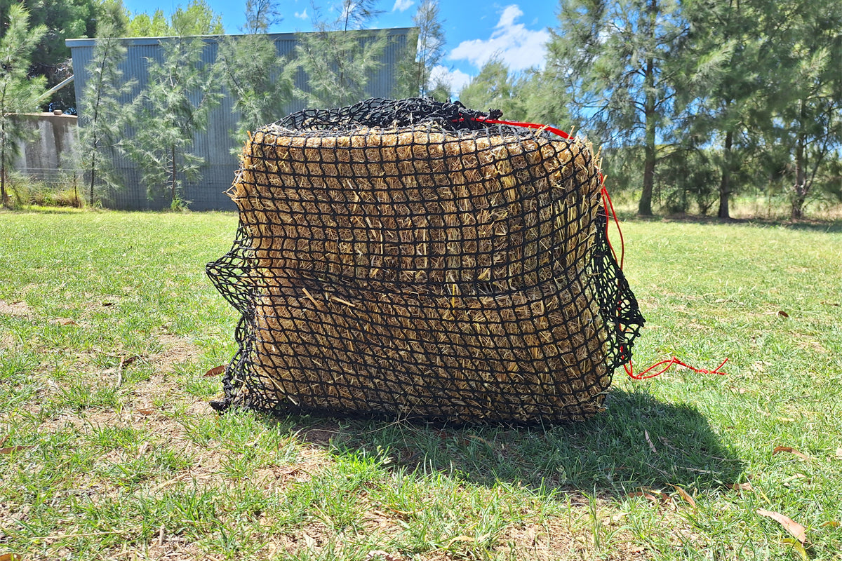 Knotless Hay Nets - Extra Large – GutzBusta® Slow Feed Hay Nets