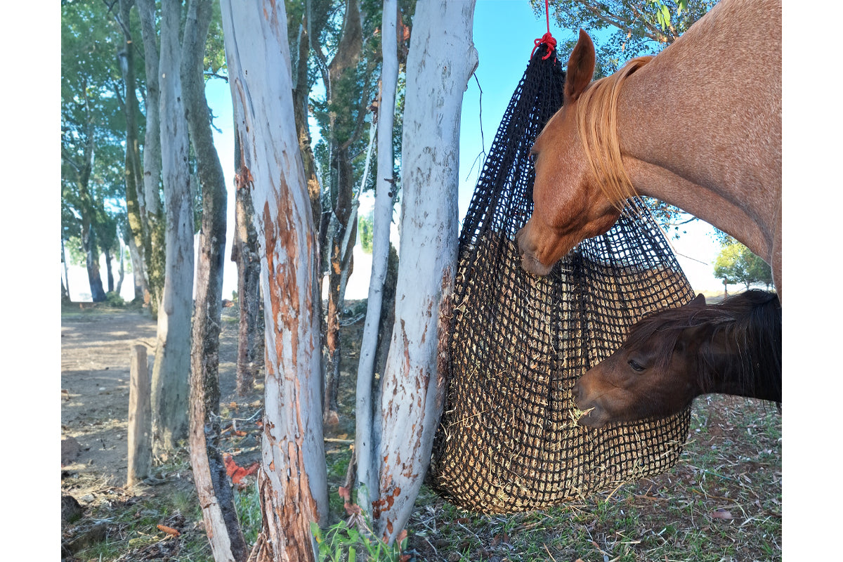 Knotless Hay Nets - Extra Large – GutzBusta® Slow Feed Hay Nets