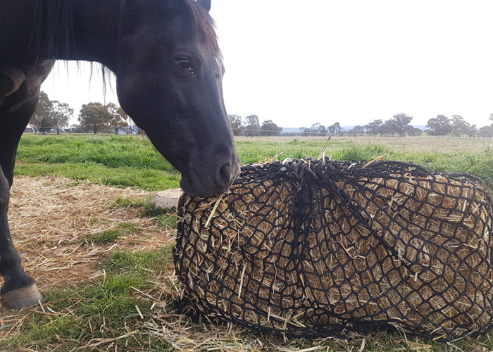 Knotless Hay Nets - Extra Large – GutzBusta® Slow Feed Hay Nets