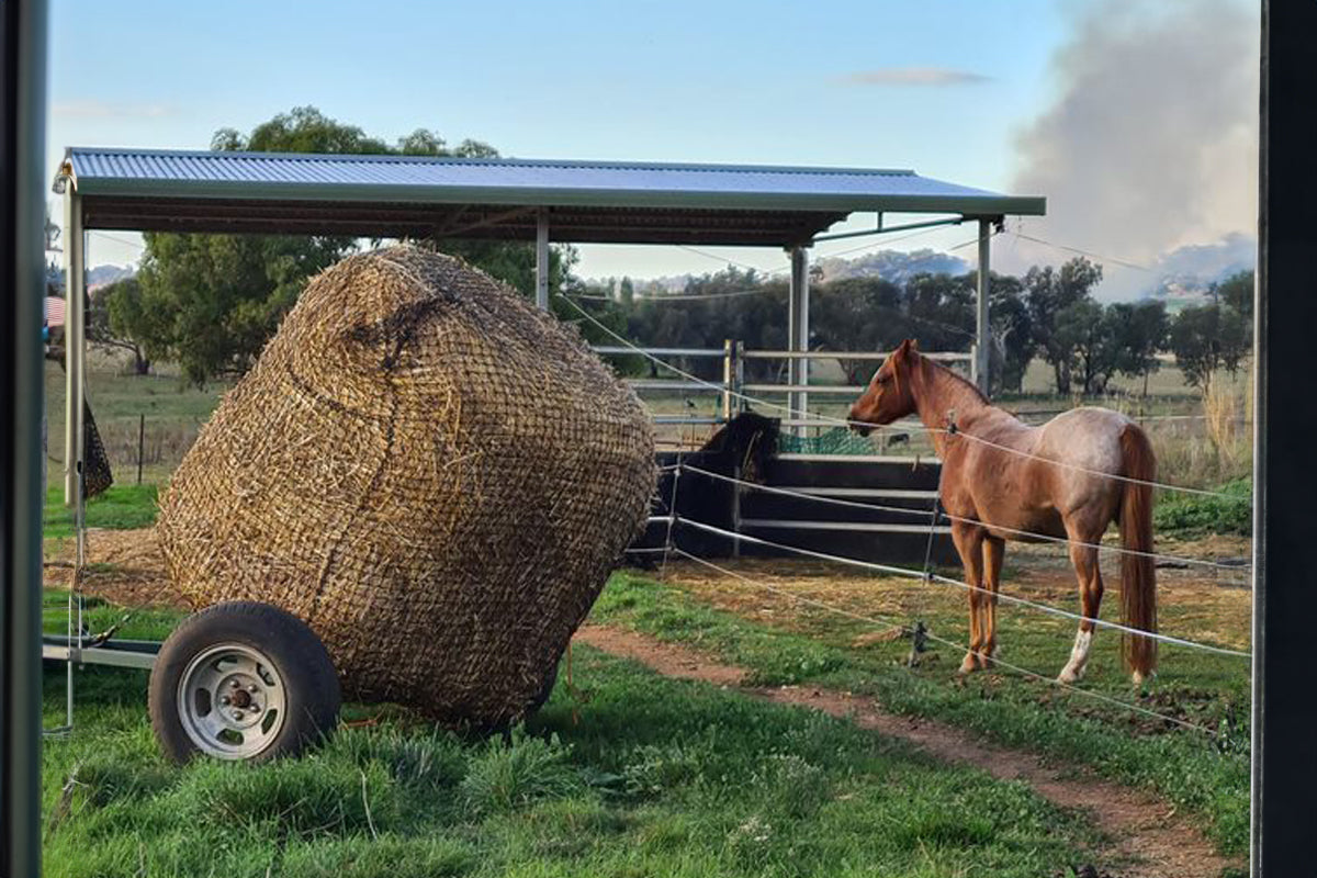 Knotted Hay Nets - 4'x4' Round Bale – GutzBusta® Slow Feed Hay Nets