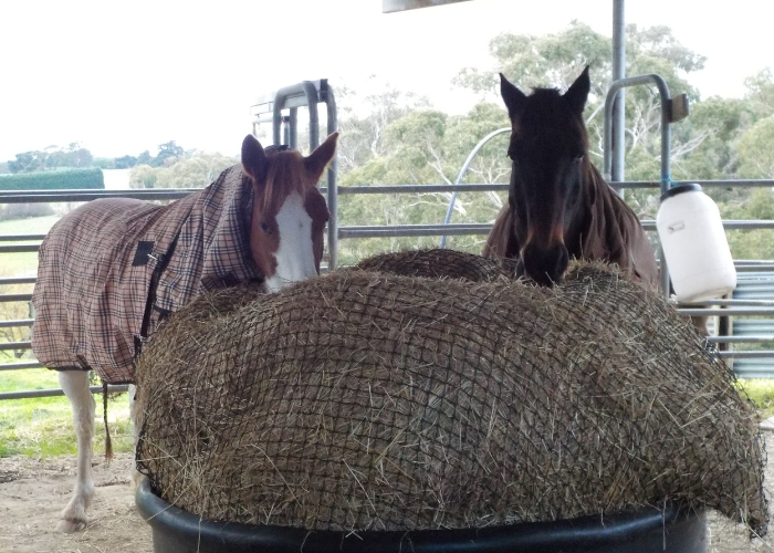 Knotted Hay Nets - 4'x4' Round Bale – GutzBusta® Slow Feed Hay Nets