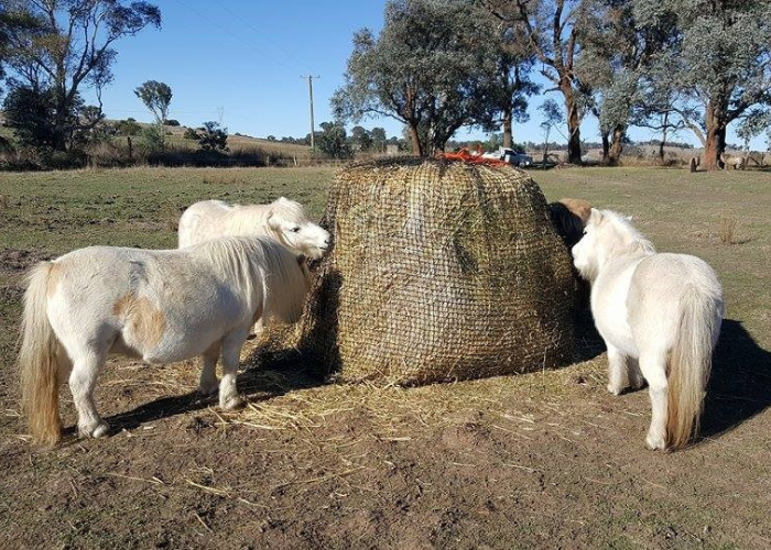 Knotted Hay Nets - 4'x4' Round Bale – GutzBusta® Slow Feed Hay Nets
