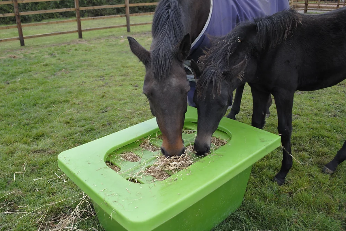 The Hay-Saver – GutzBusta® Slow Feed Hay Nets