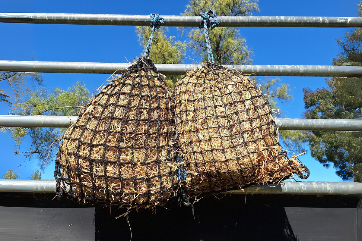 Hay Net Finder - Find the Perfect Hay Net with Ease! – GutzBusta® Slow ...
