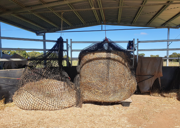 Knotless Hay Nets - 4'x4' Round Bale – GutzBusta® Slow Feed Hay Nets