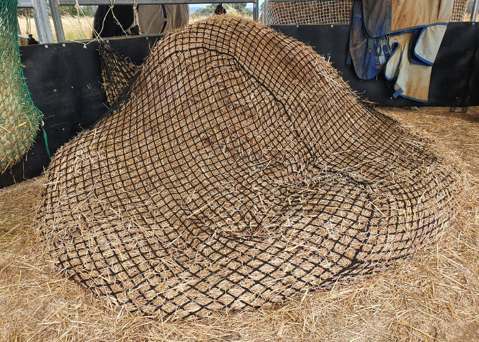 Knotless Hay Nets - 6'x4' Round Bale – GutzBusta® Slow Feed Hay Nets