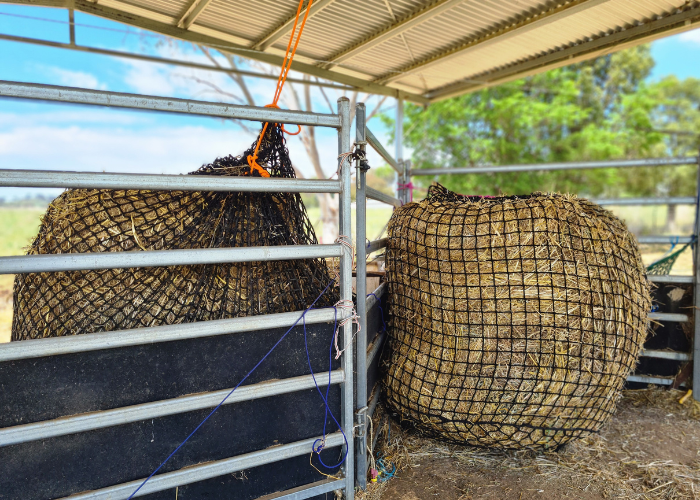 Knotless Hay Nets - 5'x4' Round Bale – GutzBusta® Slow Feed Hay Nets