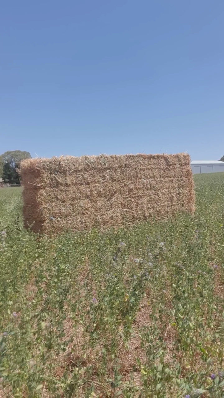 Knotless - Large Square Bale - 8x3x3, 8x4x3 & 8x4x4 – GutzBusta® Slow ...